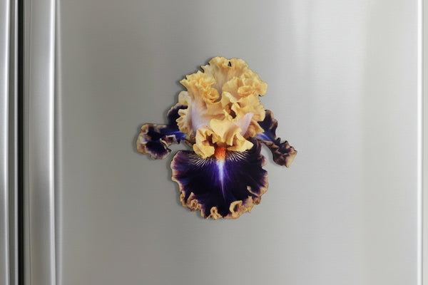 Forever In Time Magnet – Sutton Iris